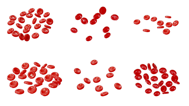 Normal Blood Cells vs Anemia 3D Model in Anatomy 3DExport