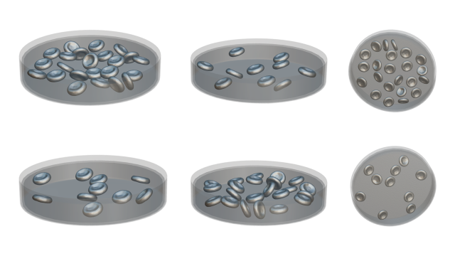 Normal Blood Cells vs Anemia 3D Model in Anatomy 3DExport