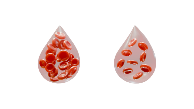 Normal Blood Cells vs Anemia 3D Model in Anatomy 3DExport