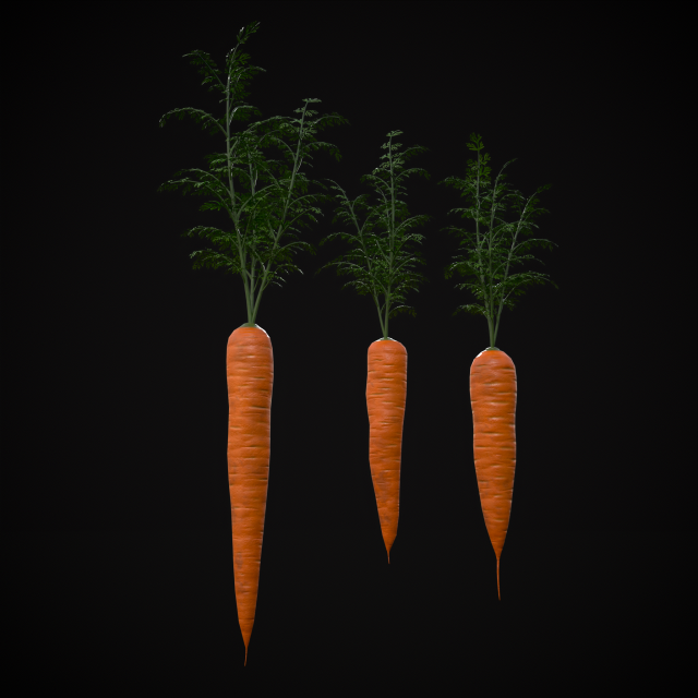 Carrots 3D Model in Vegetable 3DExport