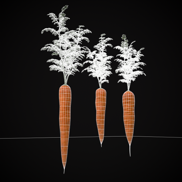Carrots 3D Model in Vegetable 3DExport