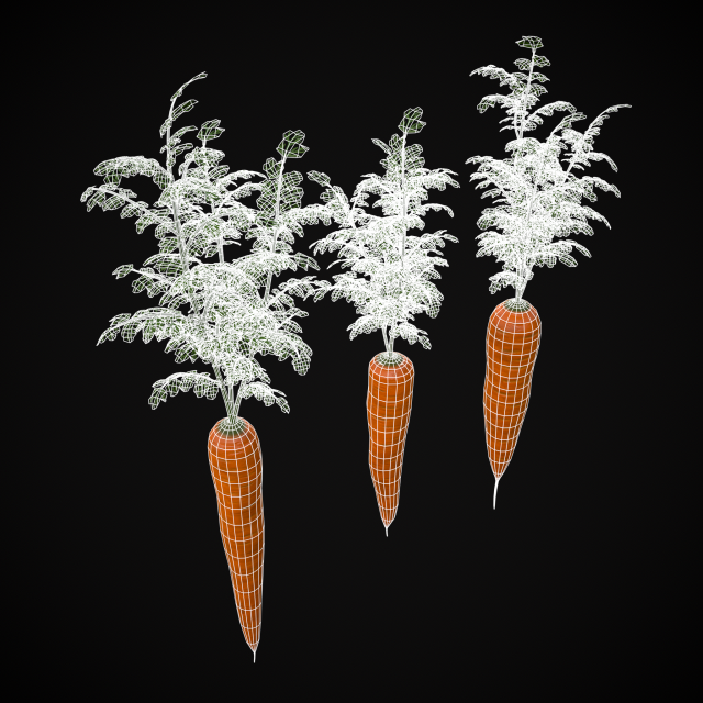 Carrots 3D Model in Vegetable 3DExport