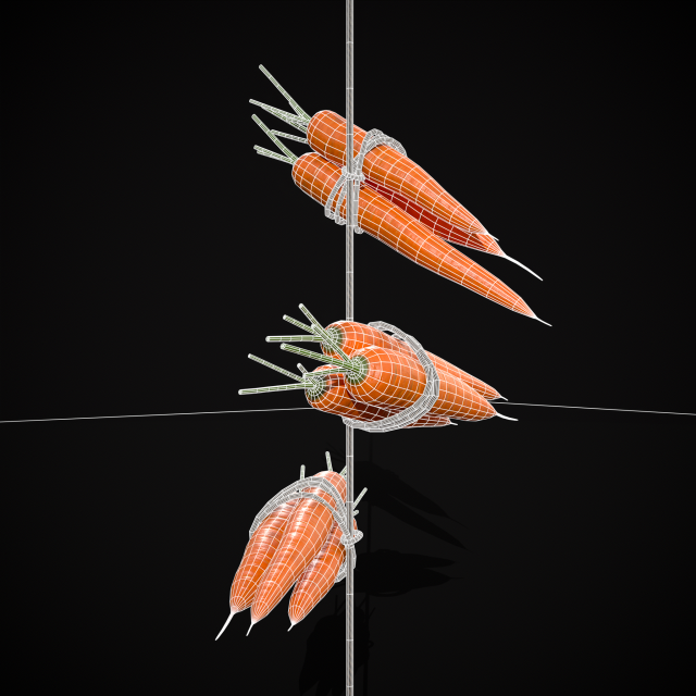 Hanging Carrots 3D Model in Vegetable 3DExport