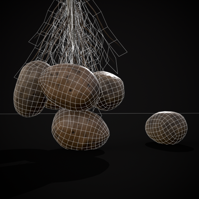 Potato Plant 3D Model in Small Plants 3DExport