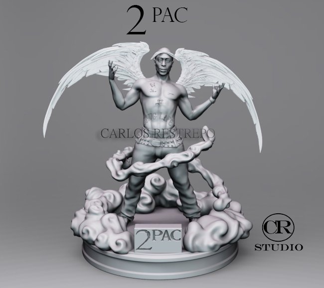 2 pac 3D Models in Anatomy 3DExport