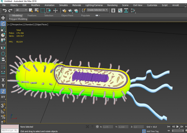 bacteria 3D Model in Other 3DExport