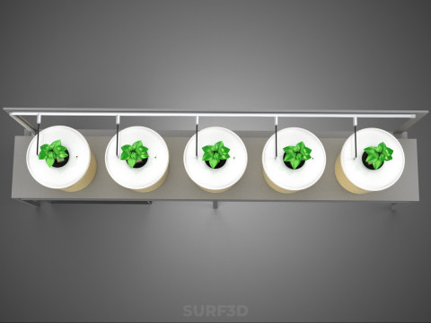 ARRAY BATO DUTCH BUCKET SYSTEM PLANT AEROPONIC HYDROPONIC POT 3D Modell ...