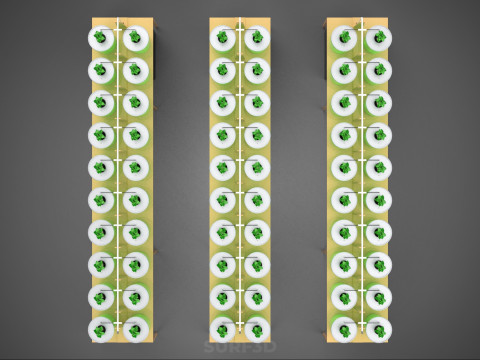 LAYOUT PARALLEL ARRAY ROW INDOOR DUTCH BUCKET HYDROPONIC SYSTEM 3D ...