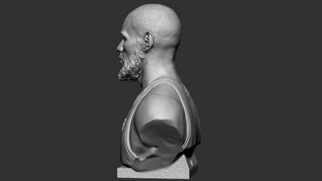 Lebron James 3D Print Model in Figurines 3DExport