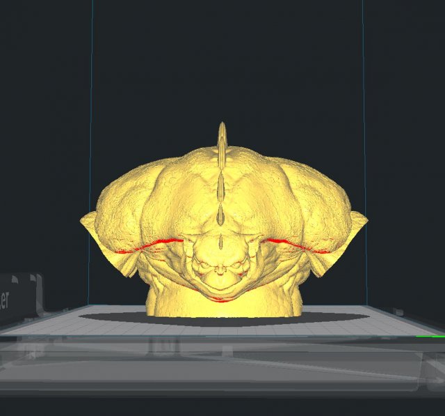 reptiliano - reptiloide 3D Print Model in Monsters & Creatures 3DExport