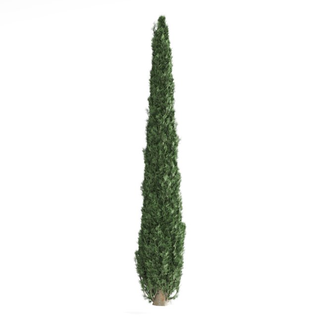 Pine tree set 02 3D Model in Tree 3DExport