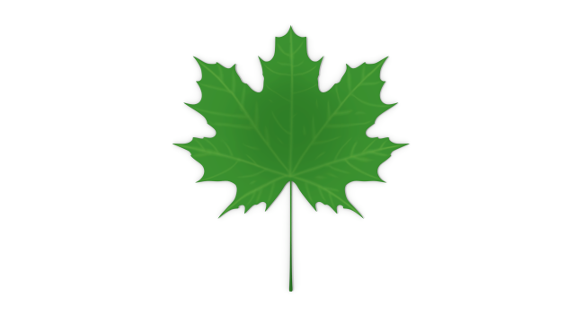 maple leaf 3D Model in Small Plants 3DExport