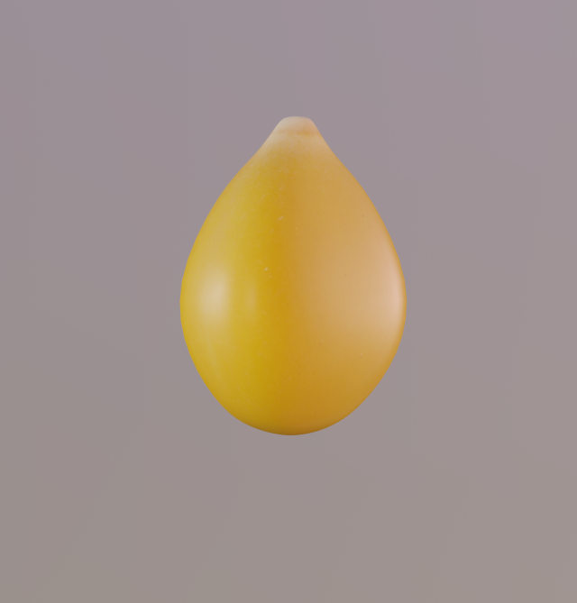 corn kernel 3D Model in Vegetable 3DExport