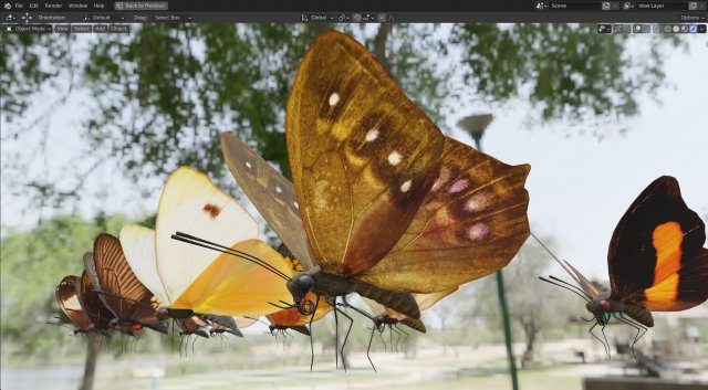 Butterfly Collection PBR Rigged Animated 3D Model in Insects 3DExport
