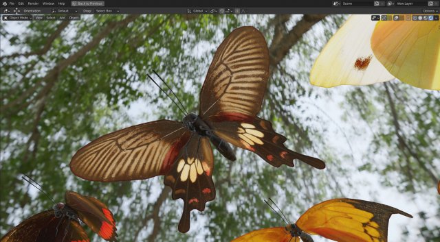 Butterfly Collection PBR Rigged Animated 3D Model in Insects 3DExport