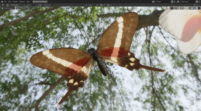 Butterfly Collection PBR Rigged Animated 3D Model in Insects 3DExport