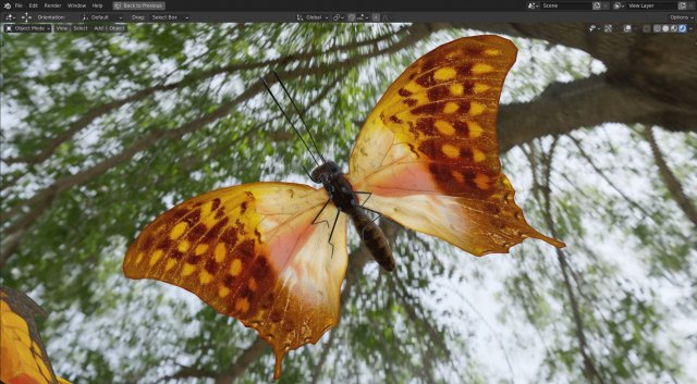 Butterfly Collection PBR Rigged Animated 3D Model in Insects 3DExport