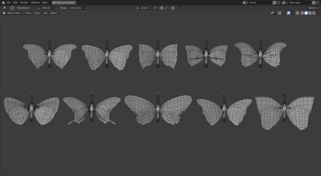 Butterfly Collection PBR Rigged Animated 3D Model in Insects 3DExport