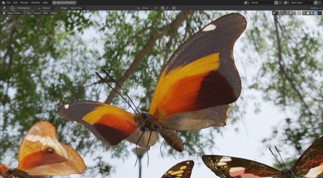 Butterfly Collection PBR Rigged Animated 3D Model in Insects 3DExport