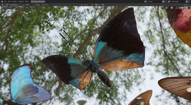 Butterfly Collection PBR Rigged Animated 3D Model in Insects 3DExport