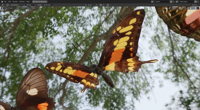 Butterfly Collection PBR Rigged Animated 3D Model in Insects 3DExport