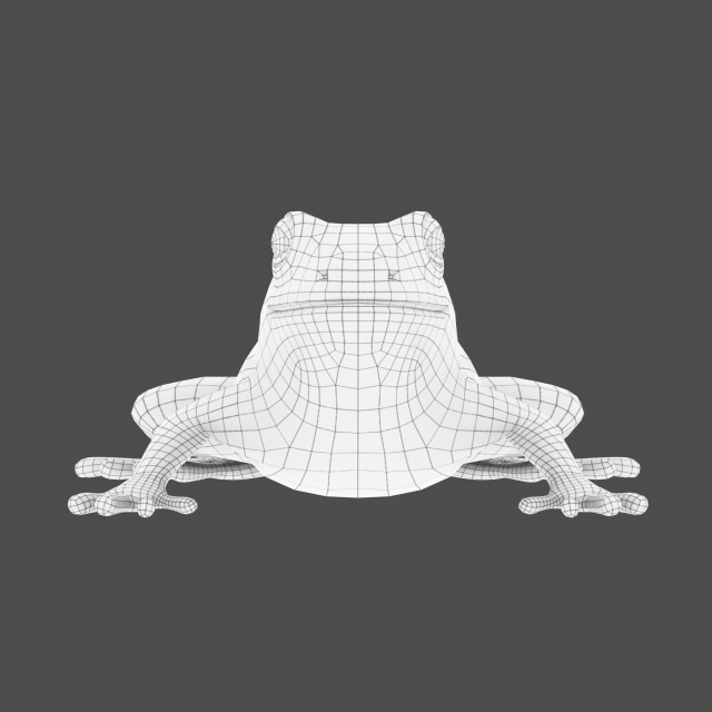 tree frog 3D Model in Amphibians 3DExport