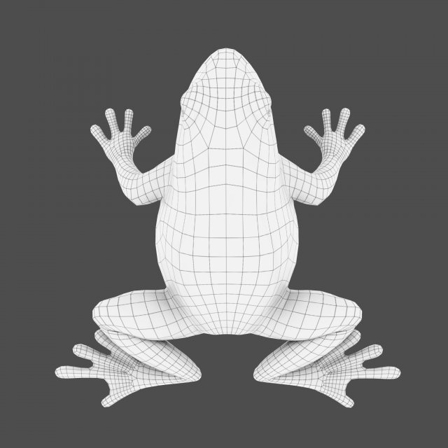 tree frog 3D Model in Amphibians 3DExport
