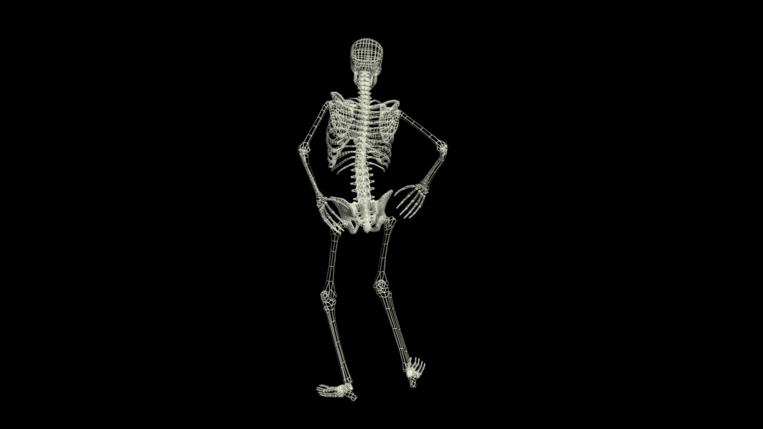Skeleton Rigged 3D Animations Set 1 - 25 in 1 3D Model in Anatomy 3DExport