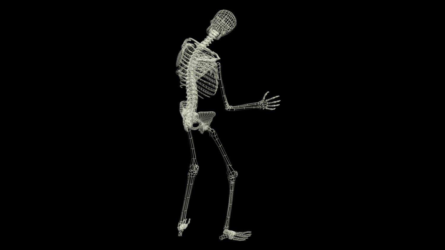 Skeleton Rigged 3D Animations Set 5 - 25 in 1 Modelo 3D in Anatomía ...
