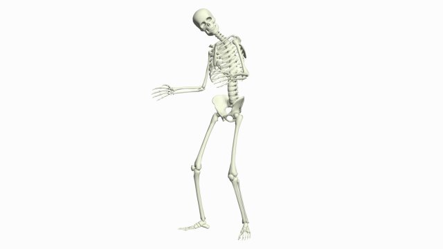 Skeleton 3D Dance Animation Modelo 3D in Anatomía 3DExport