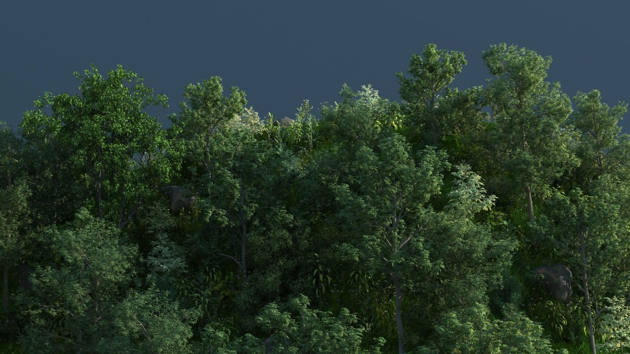 rainforest 3D Model in Environment 3DExport
