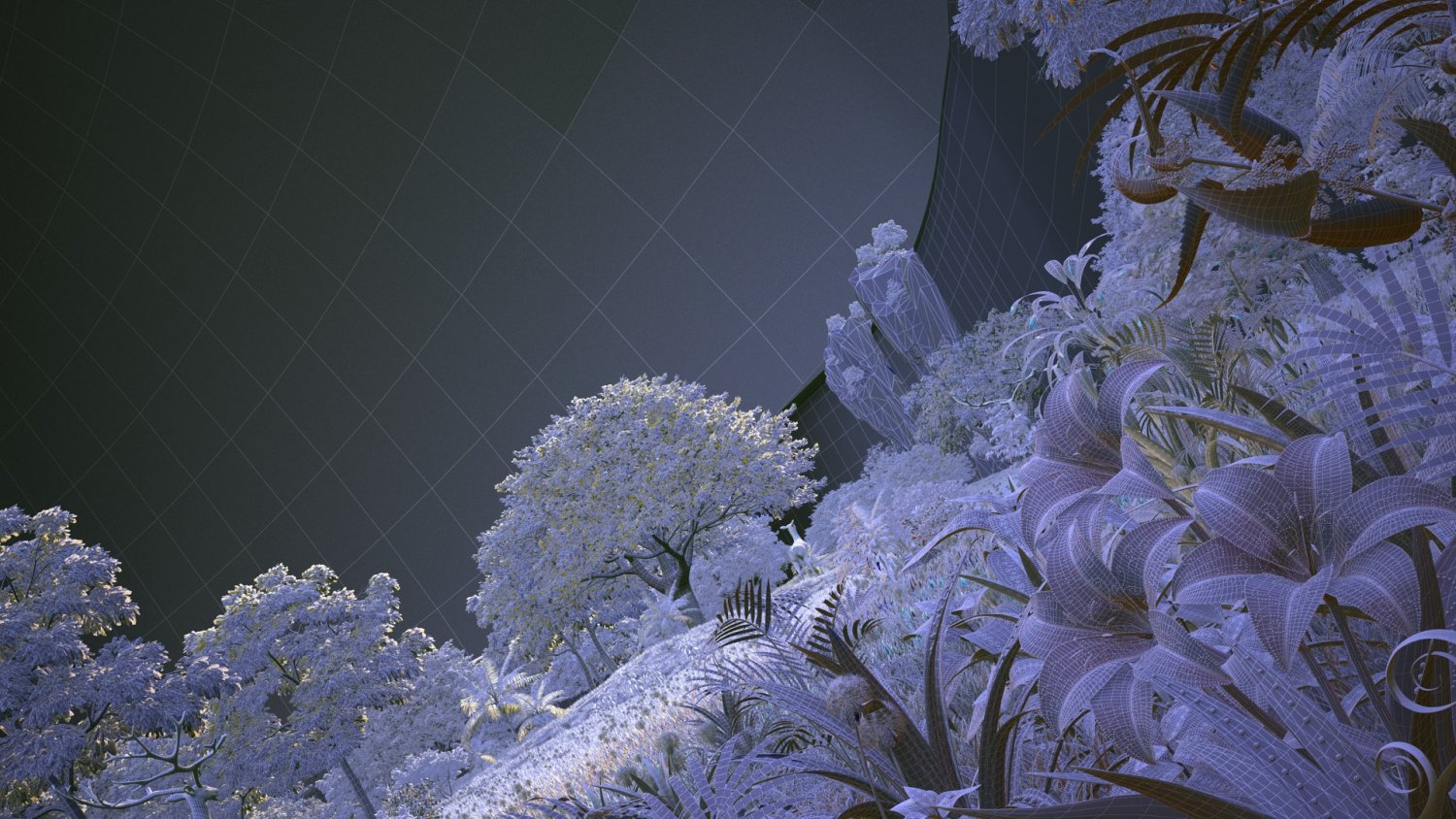 rainforest 3D Models in Environment 3DExport