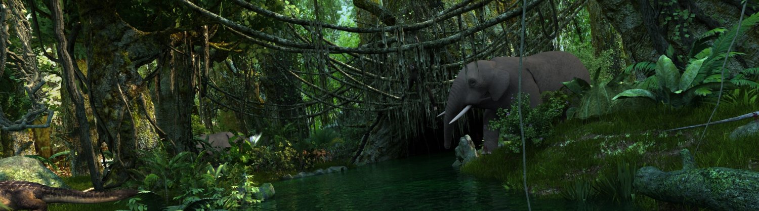 rainforest 3D Models in Environment 3DExport