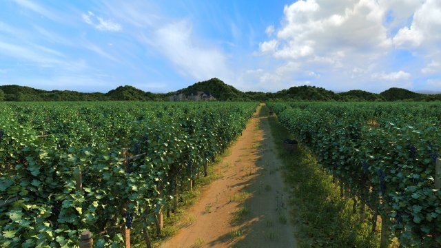 vineyard 3D Model in Environment 3DExport