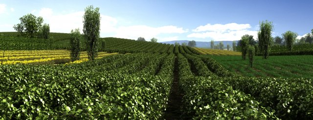 farmland 3D Model in Environment 3DExport