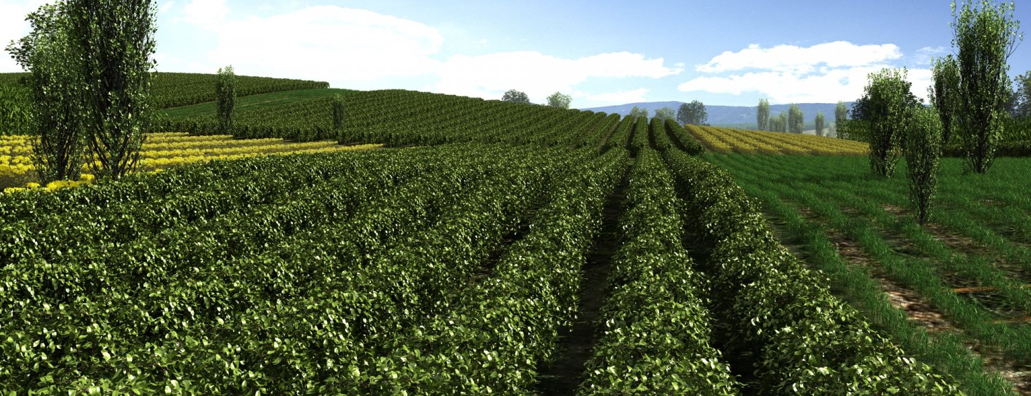 farmland 3D Models in Environment 3DExport