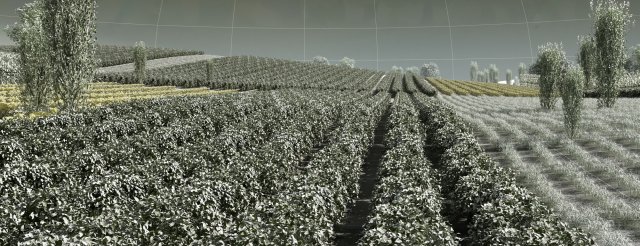 farmland 3D Model in Environment 3DExport