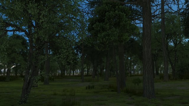 forest 3D Model in Environment 3DExport