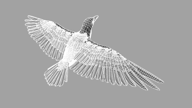 raven 3D Model in Bird 3DExport