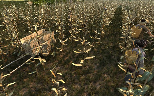 Corn field 3D Model in Environment 3DExport