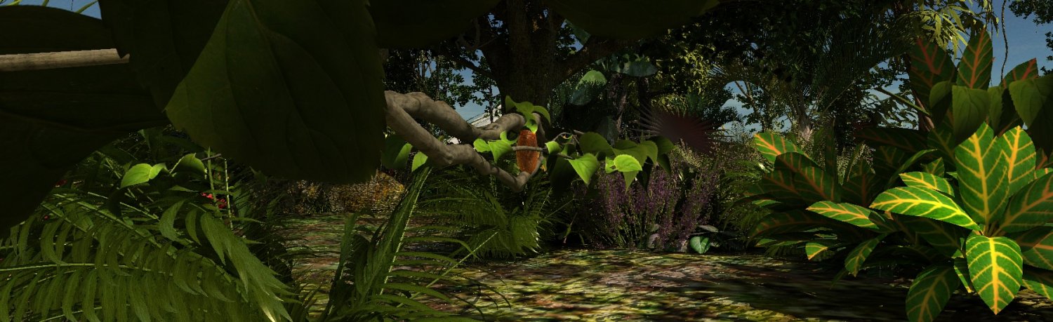 Rainforest 3D Models in Environment 3DExport