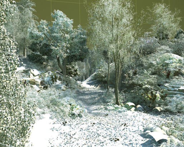 Forest 3D Model in Environment 3DExport