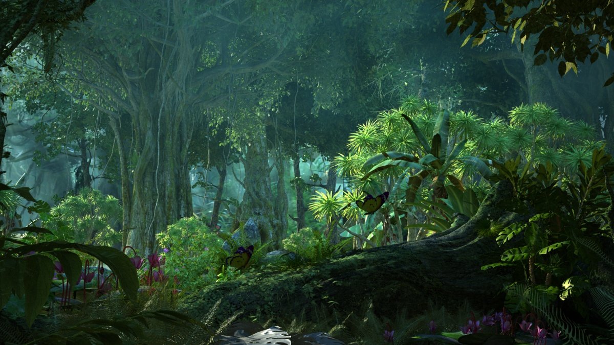 Rainforest 3D Models in Environment 3DExport