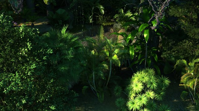 Rainforest 3D Model in Environment 3DExport