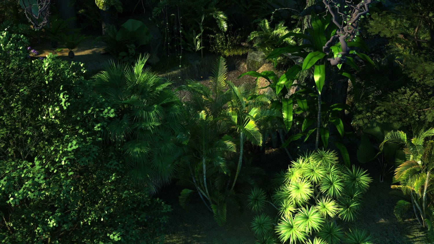 Rainforest 3D Models in Environment 3DExport