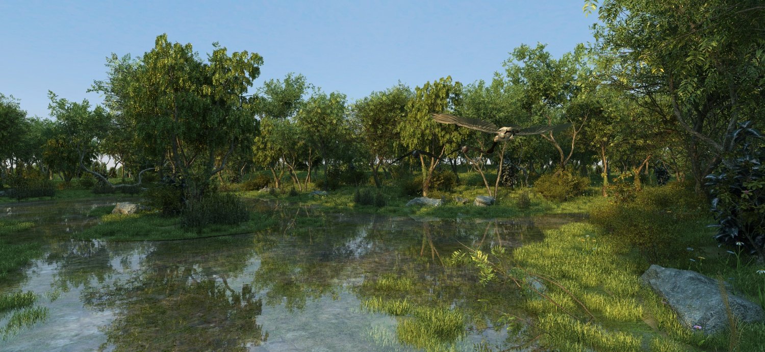 Wetlands 3D Models in Environment 3DExport