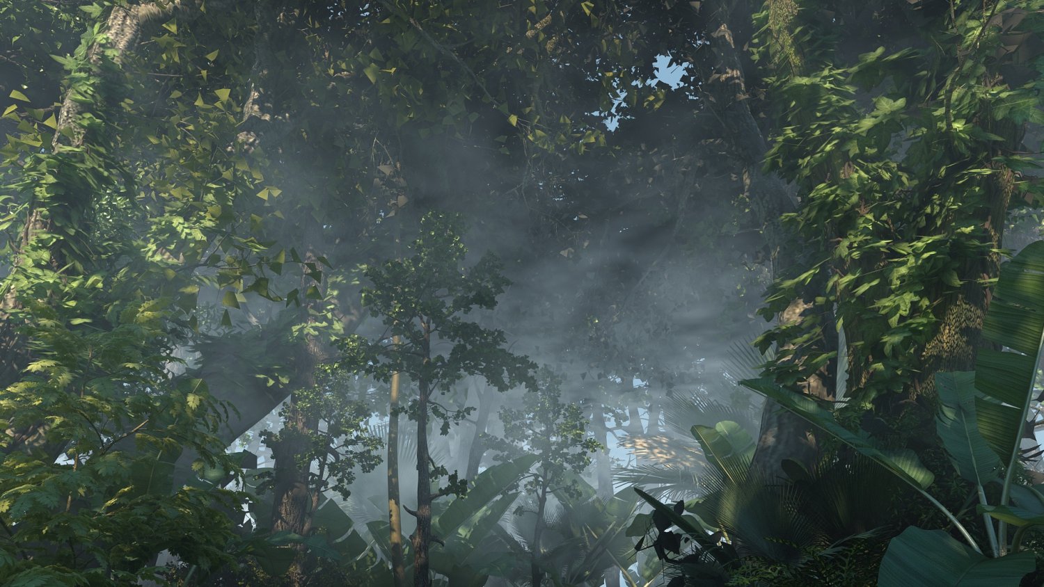 Rainforest 3D Models in Environment 3DExport