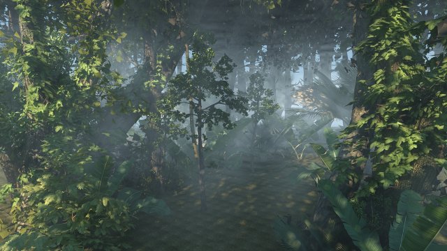 Rainforest 3D Model in Environment 3DExport