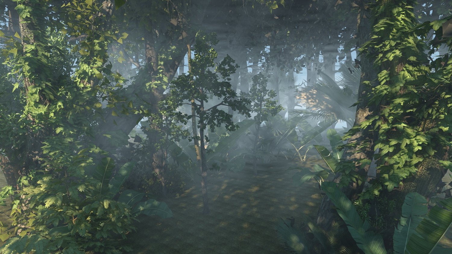 Rainforest 3D Models in Environment 3DExport