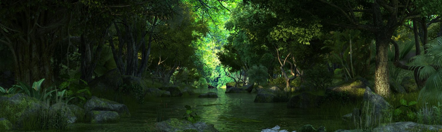Rainforest 3D Model in Environment 3DExport